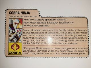 GI JOE 2004 STORM SHADOW V16 NINJA COBRA STRIKE TEAM LEADER W/CARD 100 ...