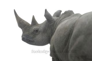 PNSO White Rhino Rhinoceros Wildlife Scientific Art Realistic Large ...